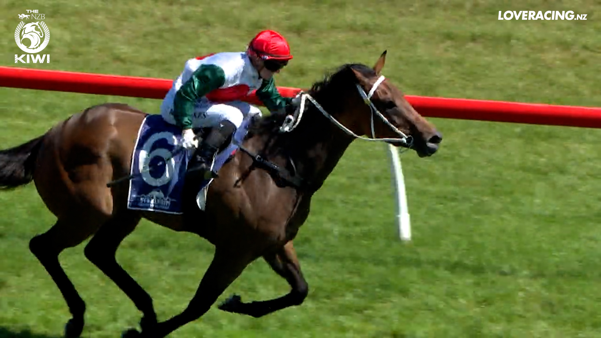 Listed The O'learys Fillies Stakes - Hitabell