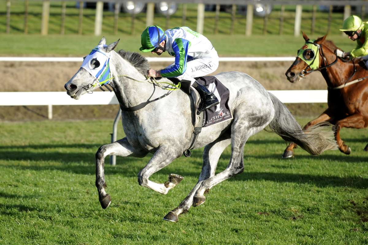 2014 Tauranga Classic - I Do & Jonathan Riddell