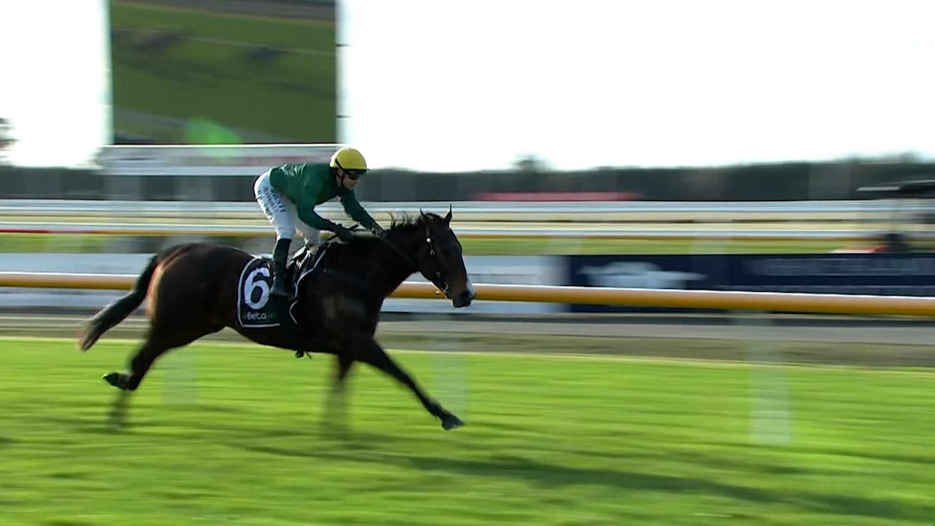 Greenwood Amberley Cup - Jay Bee Gee