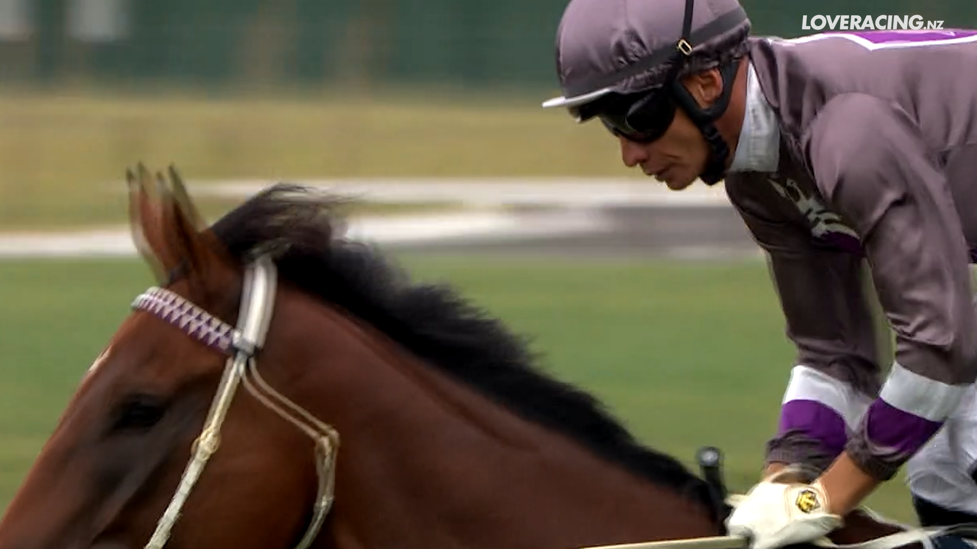 Master Fay takes out the Gr.3 Brighthill Farm Concorde Handicap