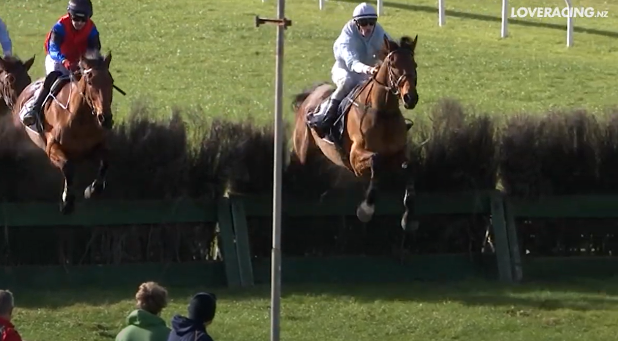 West Coast returns to winners circle in Awapuni Steeplechase