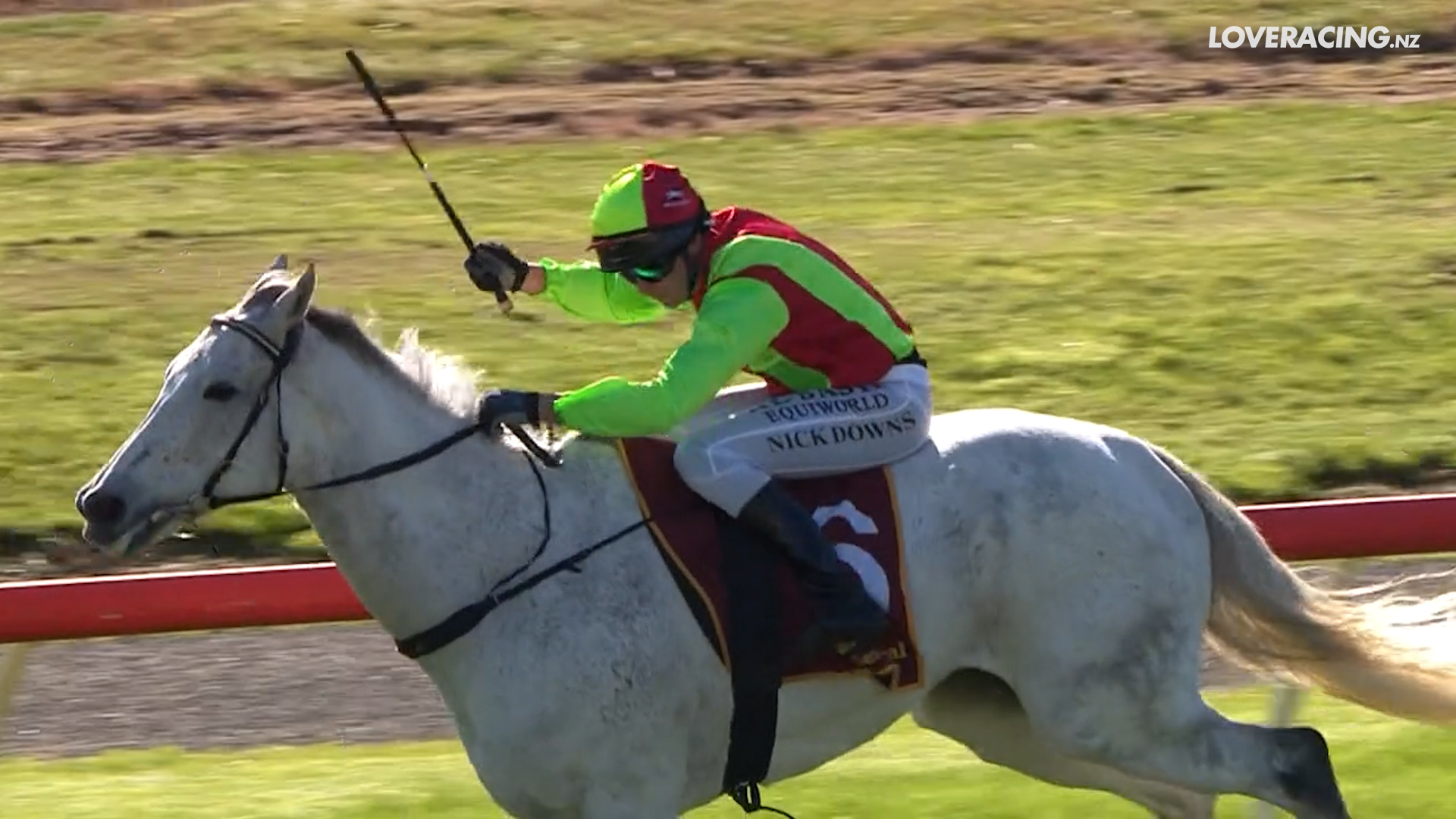 The Bottle-O Te Aroha Hurdles - Helena Baby
