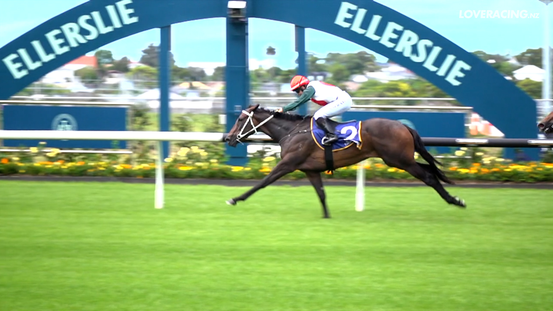 Five To Follow - 16 January