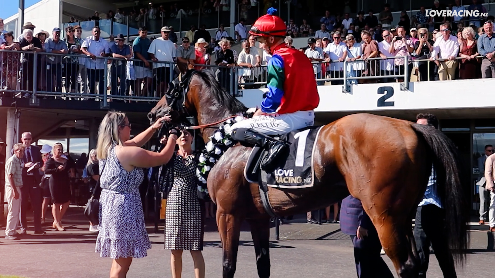 Sharp 'n' Smart - Melbourne Cup