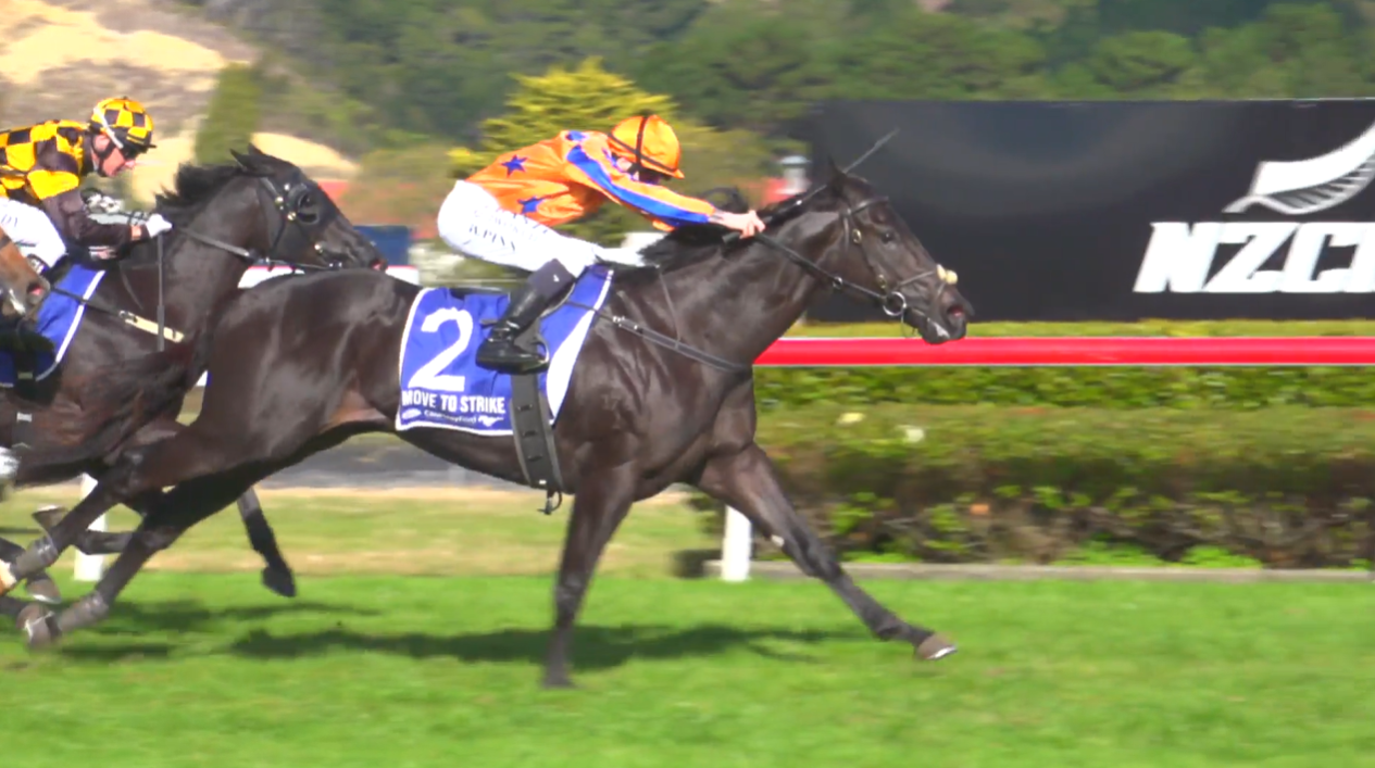 Weigh In - Sam Bergerson claims hometown Gr.1 glory