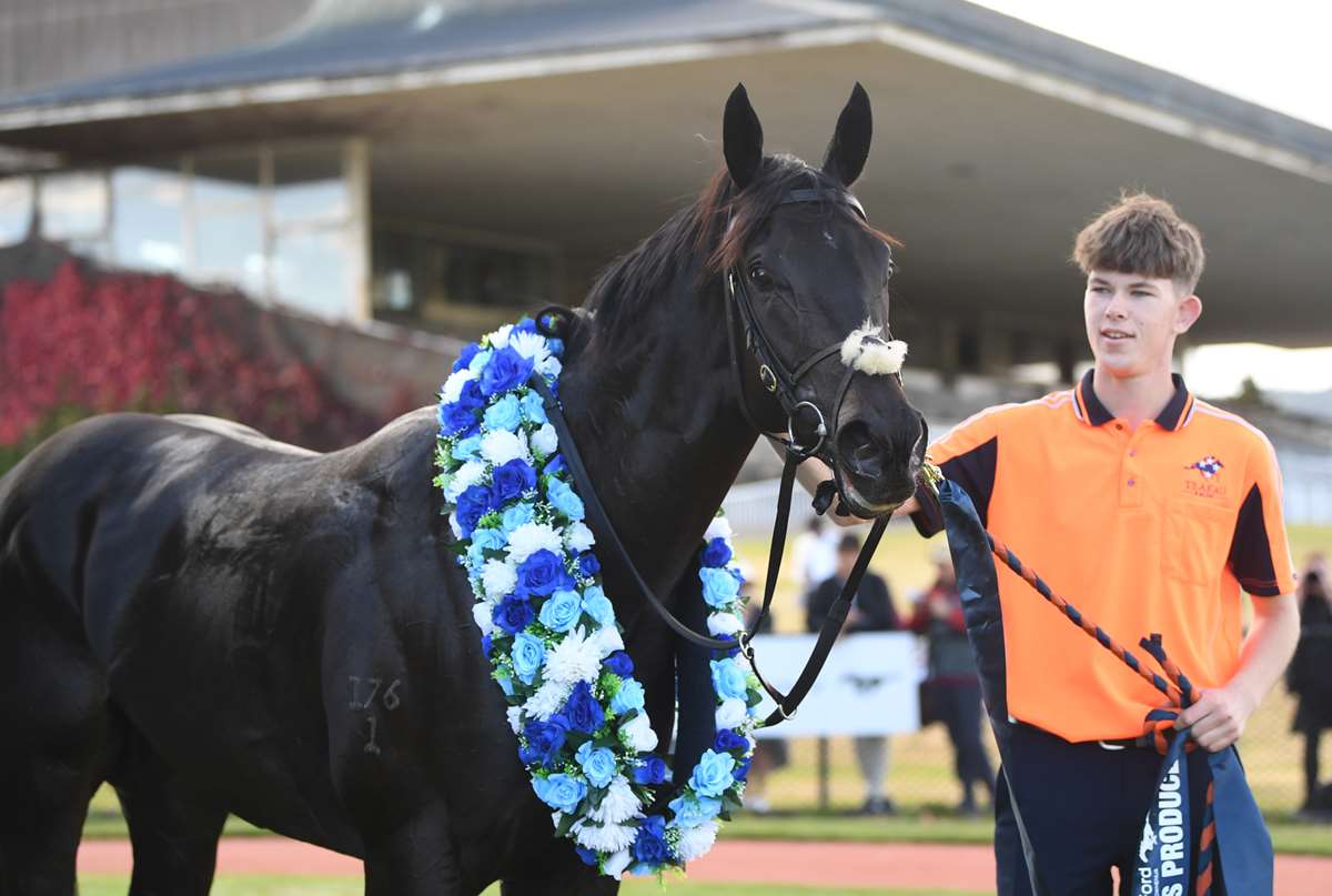 What A Weekend - 9 April