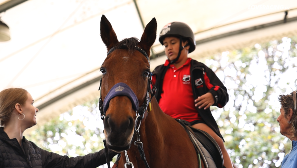 The Thoroughbred horses of RDA Tauranga