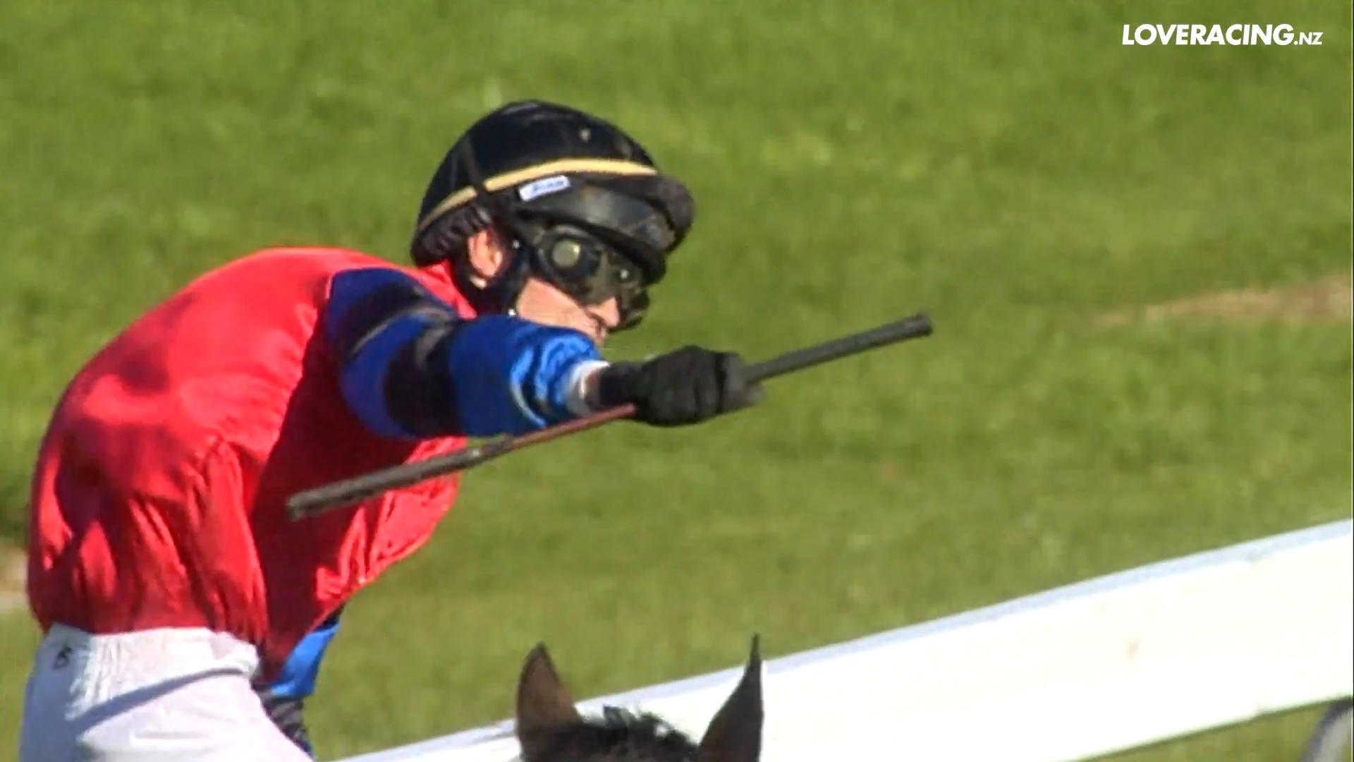 2015 & 2016 Wellington Hurdle - Wee Biskit & Matthew Cropp