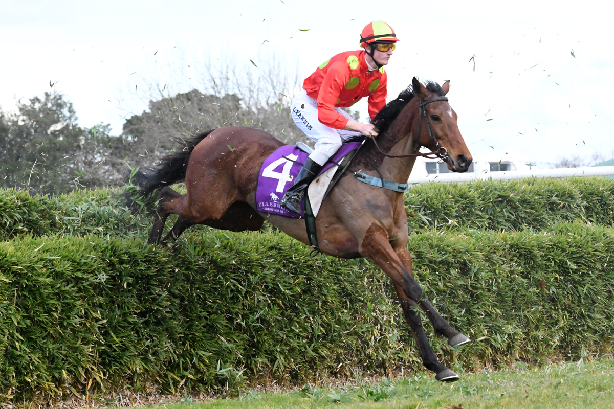 Jumps Legends at Woodville - Kick Back