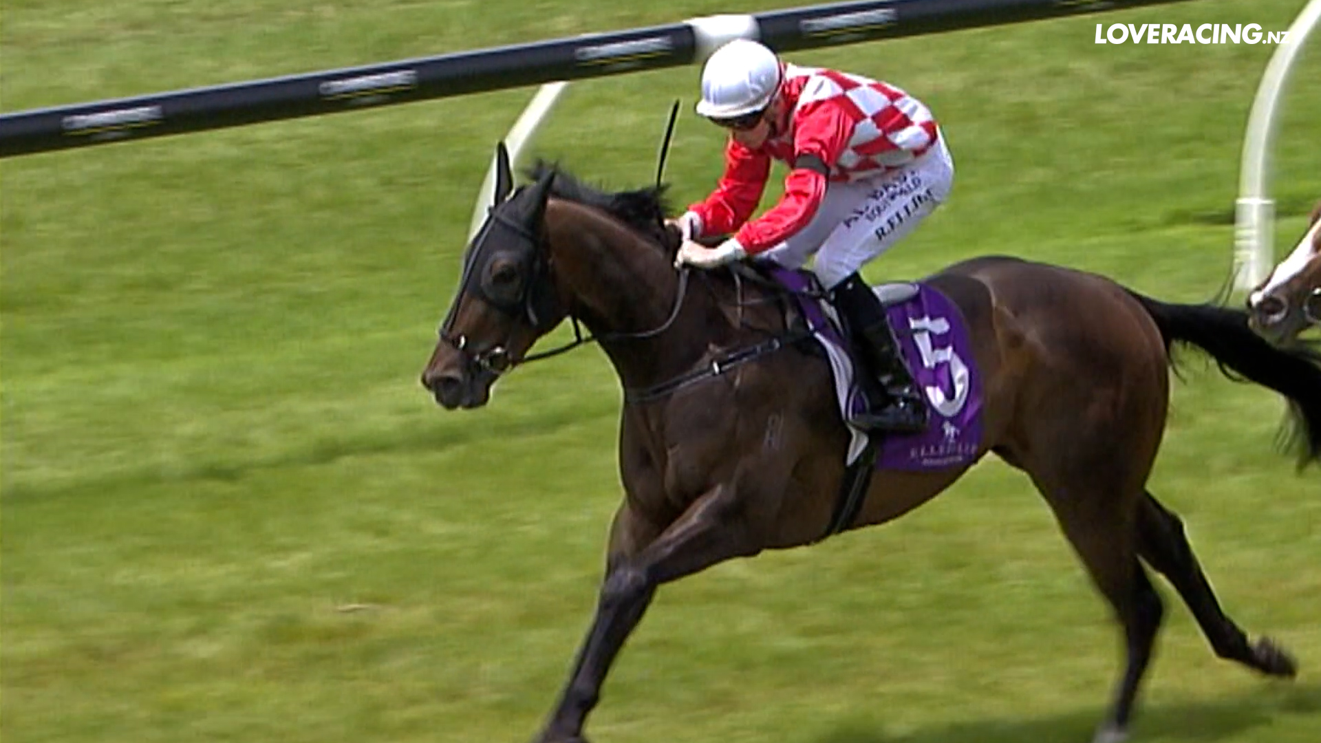 Hypnos & Ryan Elliot - 2018 Uncle Remus Stakes