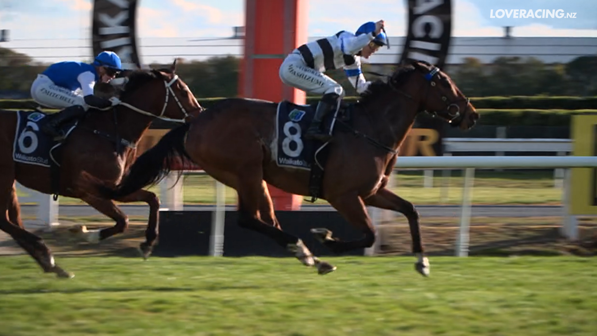 Gr.2 Waikato Stud Foxbridge Plate - Sterling Express