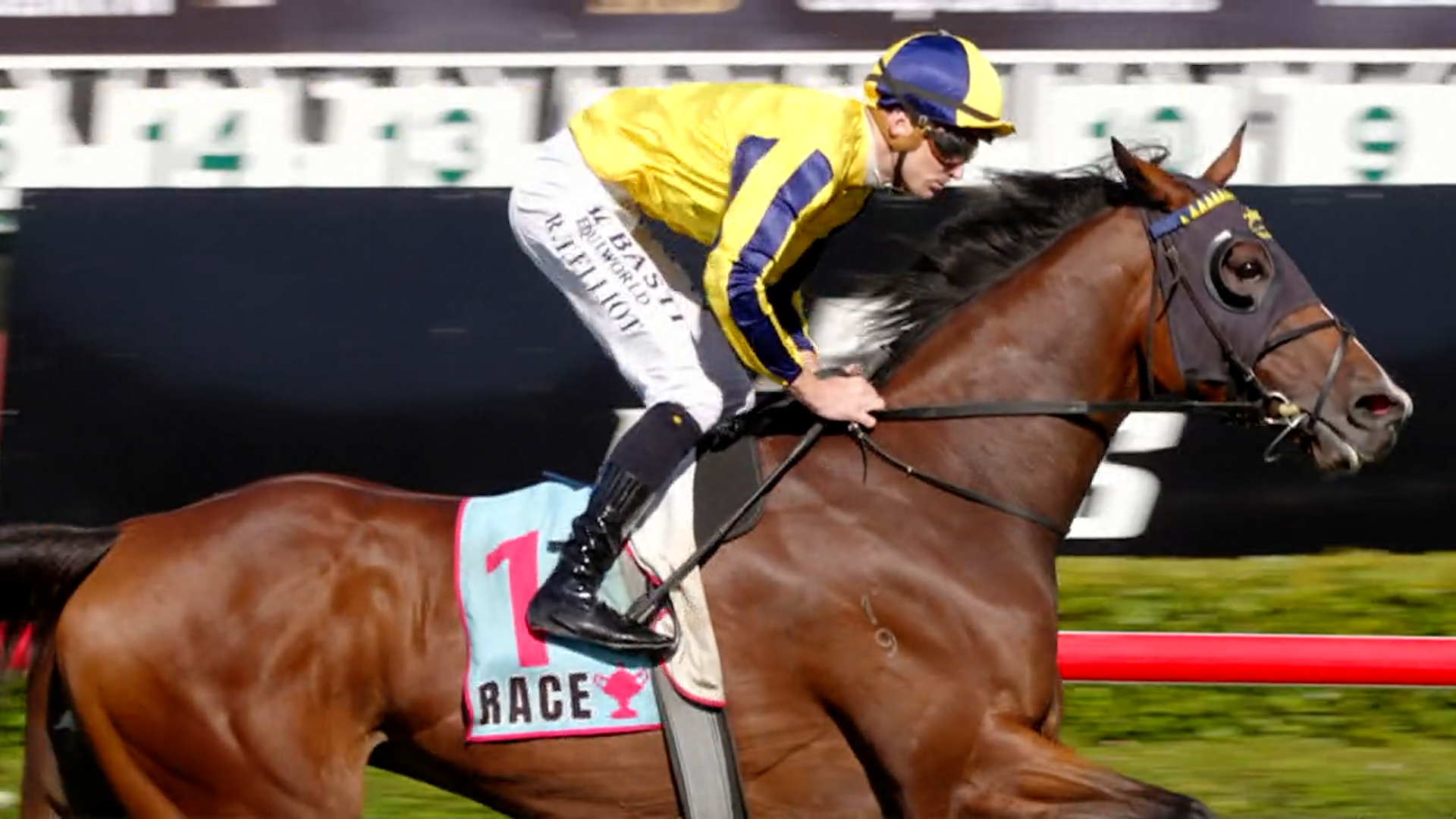 Gr.2 City of Palmerston North Awapuni Gold Cup - Waitak