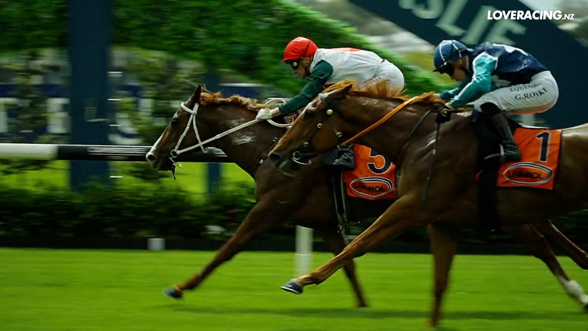 Stephen Marsh Dominates Ellerslie with Four Winners